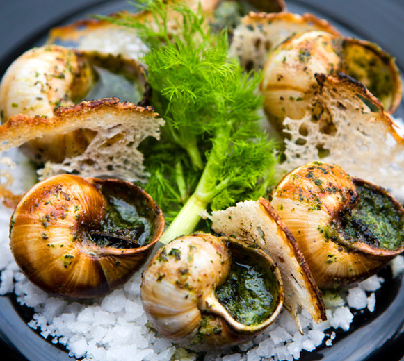 Home - Technical Chefs