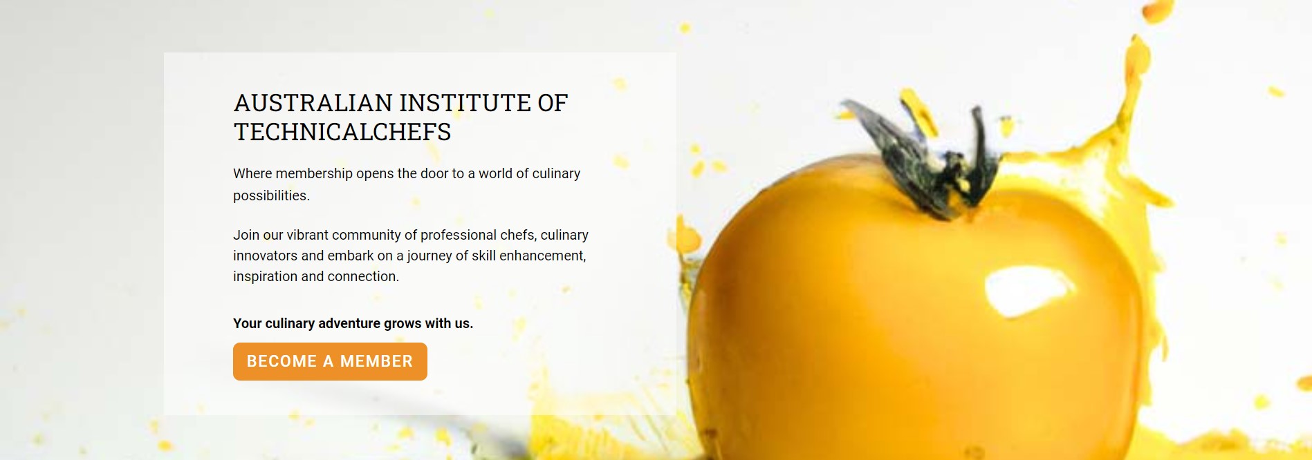 Home - Technical Chefs